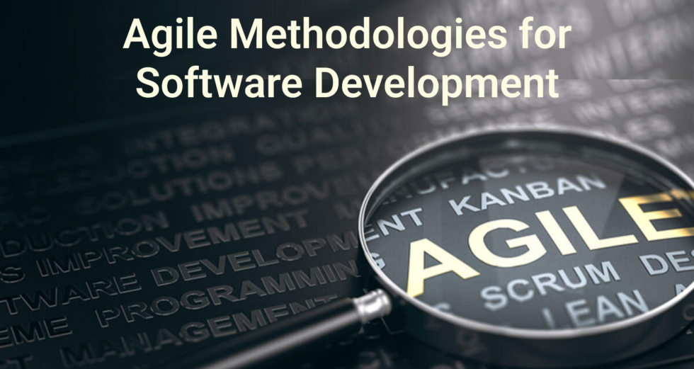 Why Should Leverage Agile Software Development-2024? - Stridefuture